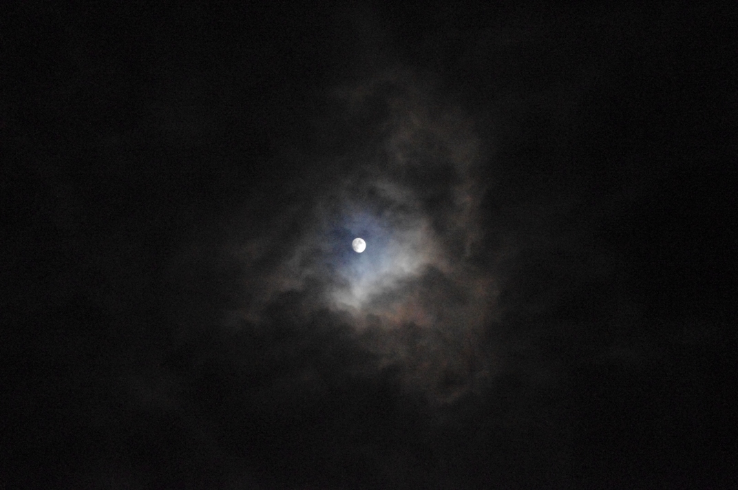 Shrouded Perception | Julie Sunne