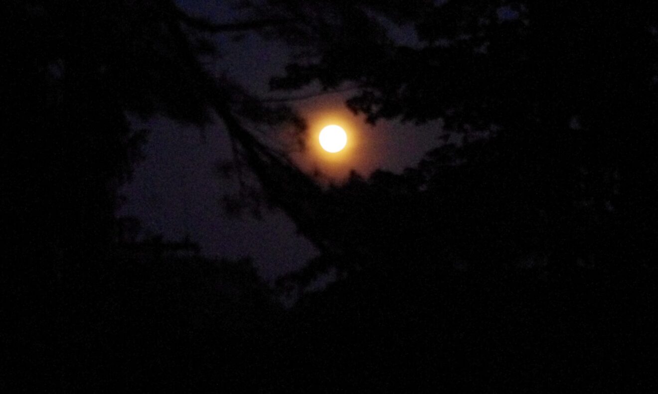 A Blessing Or A Curse (Perspective) | Julie Sunne