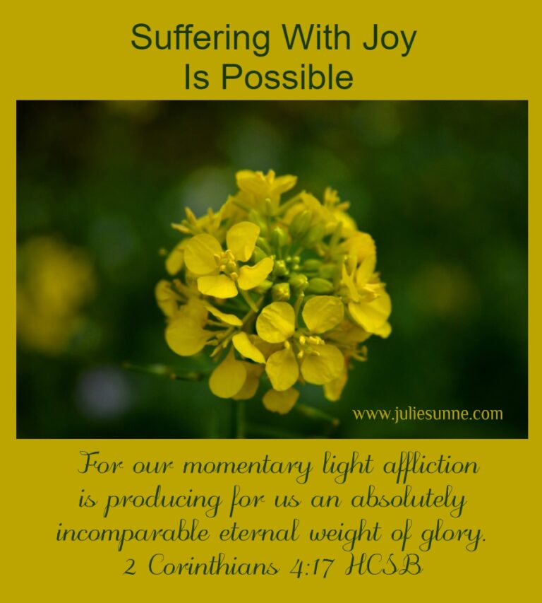 The Key To Suffering With Joy | Julie Sunne