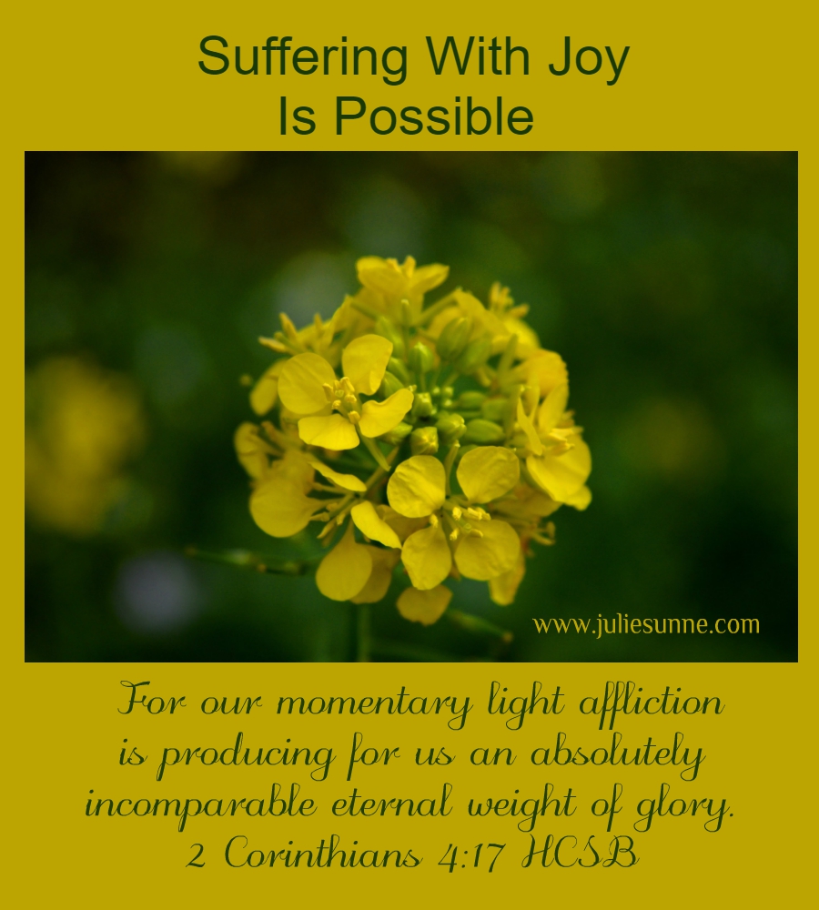 The Key To Suffering With Joy | Julie Sunne