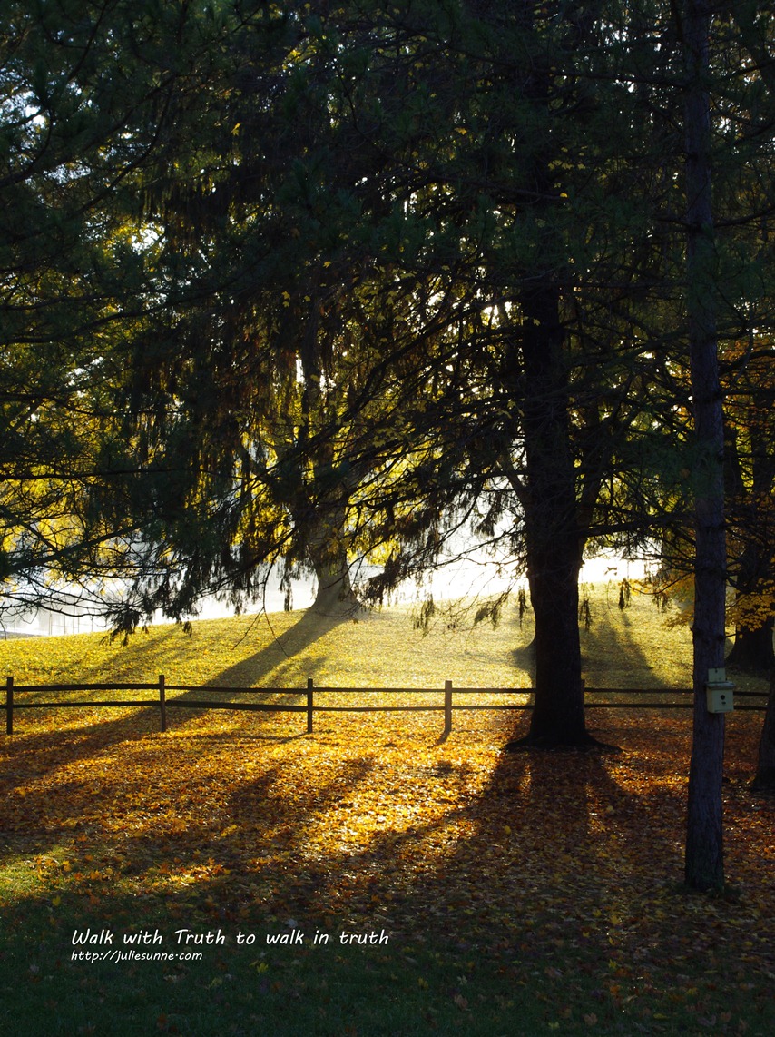 The Key To Walking In Truth | Julie Sunne