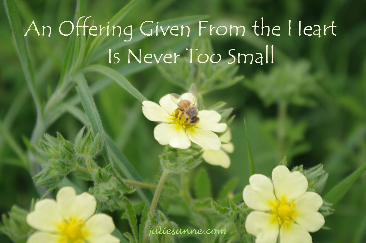 The One Time Your Offering Is Never Too Small | Julie Sunne