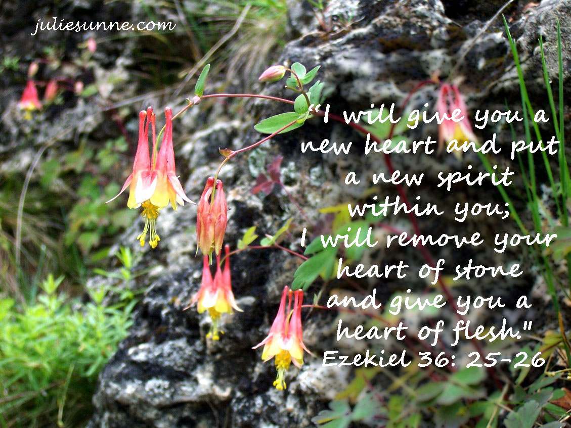 Questions To Ask On The Journey To A Beautiful Heart (& The Hope That ...