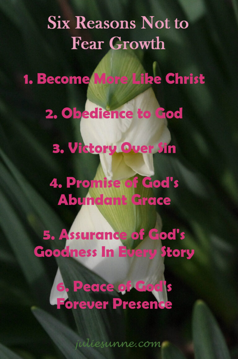 Six Reasons Not To Fear Growth | Julie Sunne