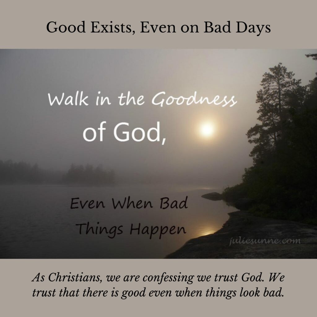 Walk In the Goodness of God, Even When Bad Things Happen - Julie Sunne