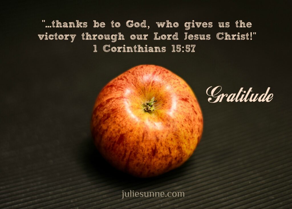 The Greatest Reason For Giving Thanks [Gratitude Series And A Gift For ...