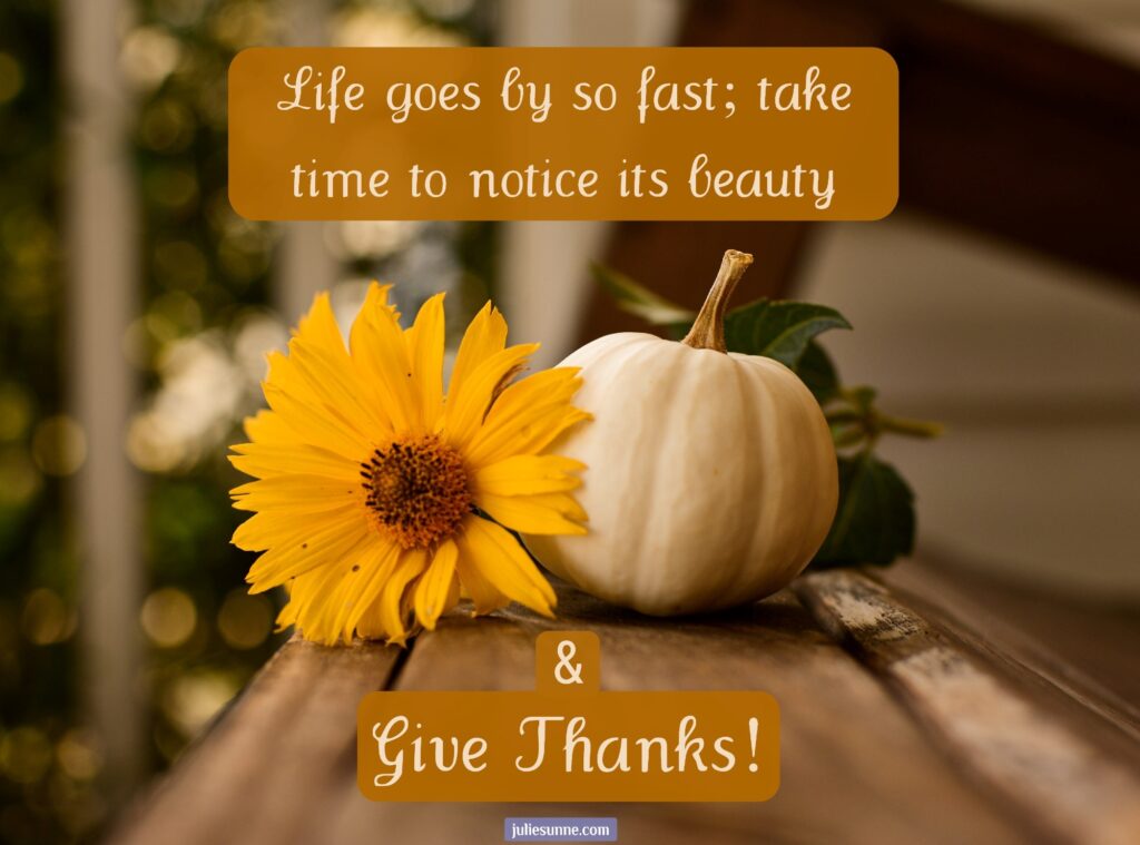 Gratitude | Julie Sunne