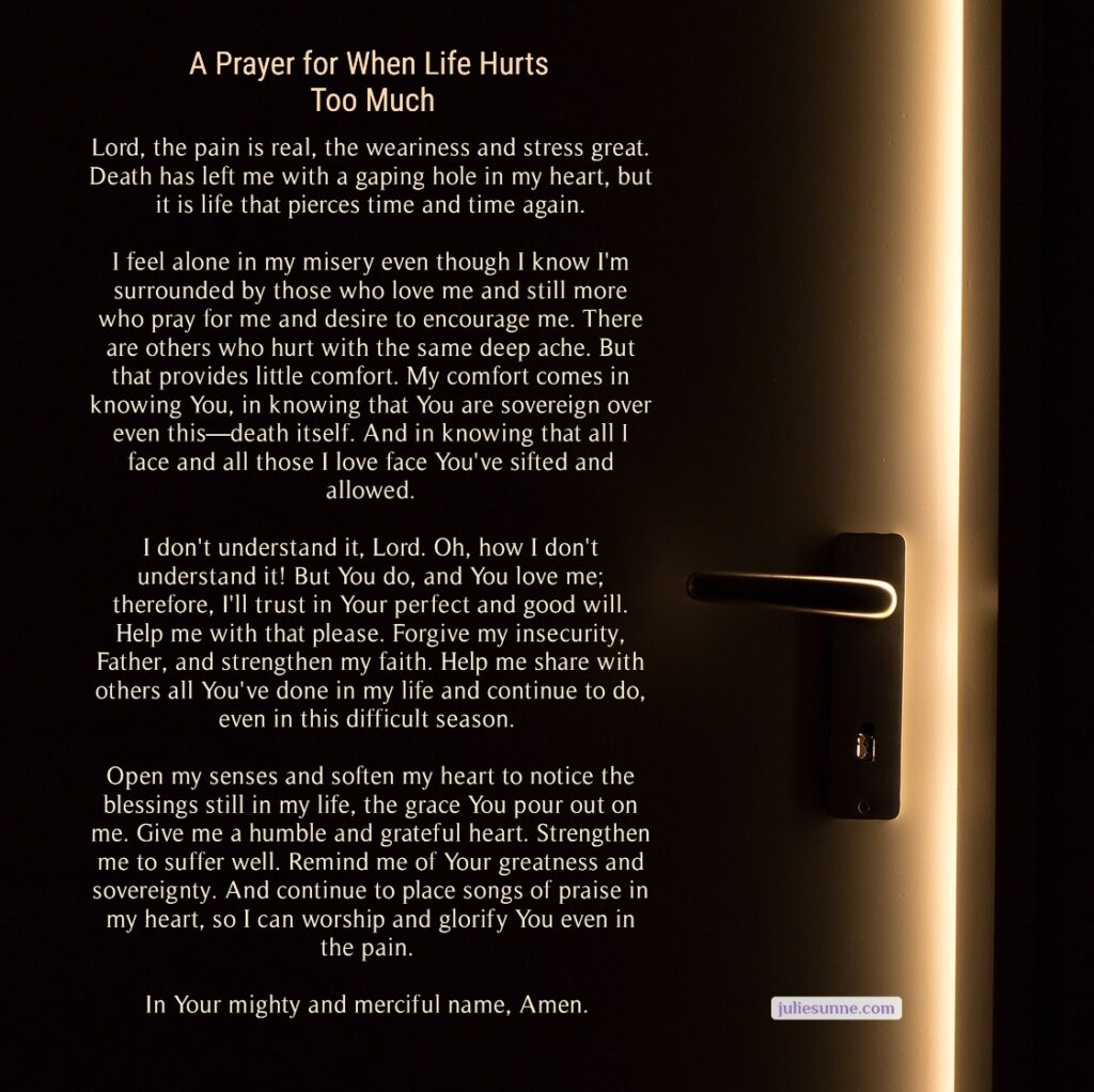 A Prayer For When Life Hurts Too Much | Julie Sunne